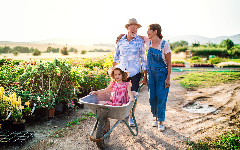 Sowing the seeds for a happy retirement - Stonehouse Financial Partners ...